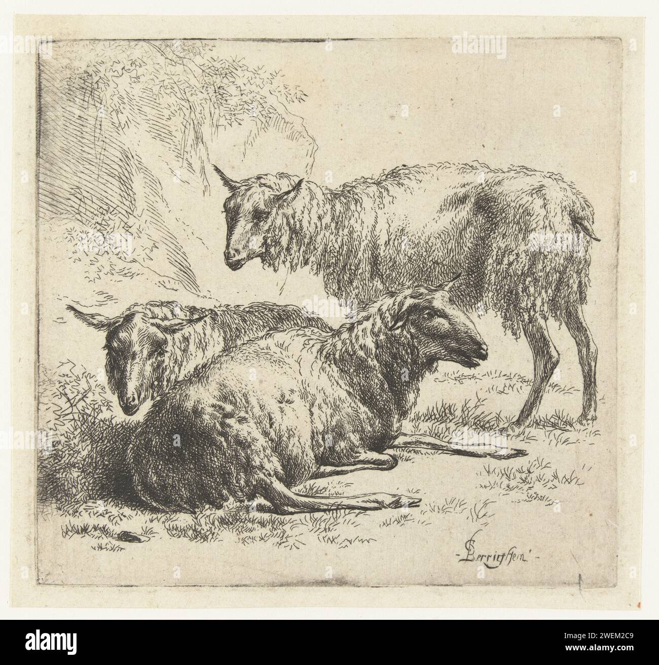 Two lying sheep and a standing sheep, Nicolaes Pietersz Berchem, 1646 ...