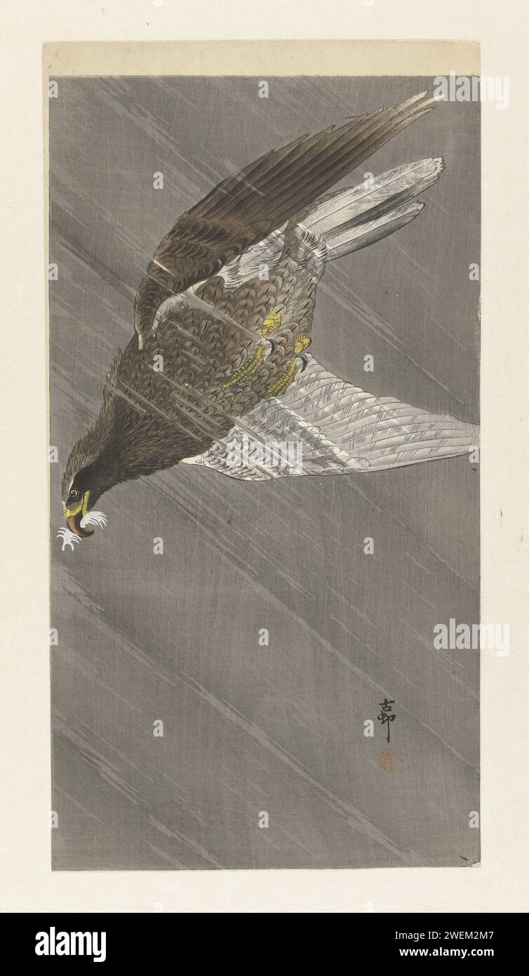 Downwards Flying Arend, Ohara Koson, 1900 - 1930 print Arend, flying ...