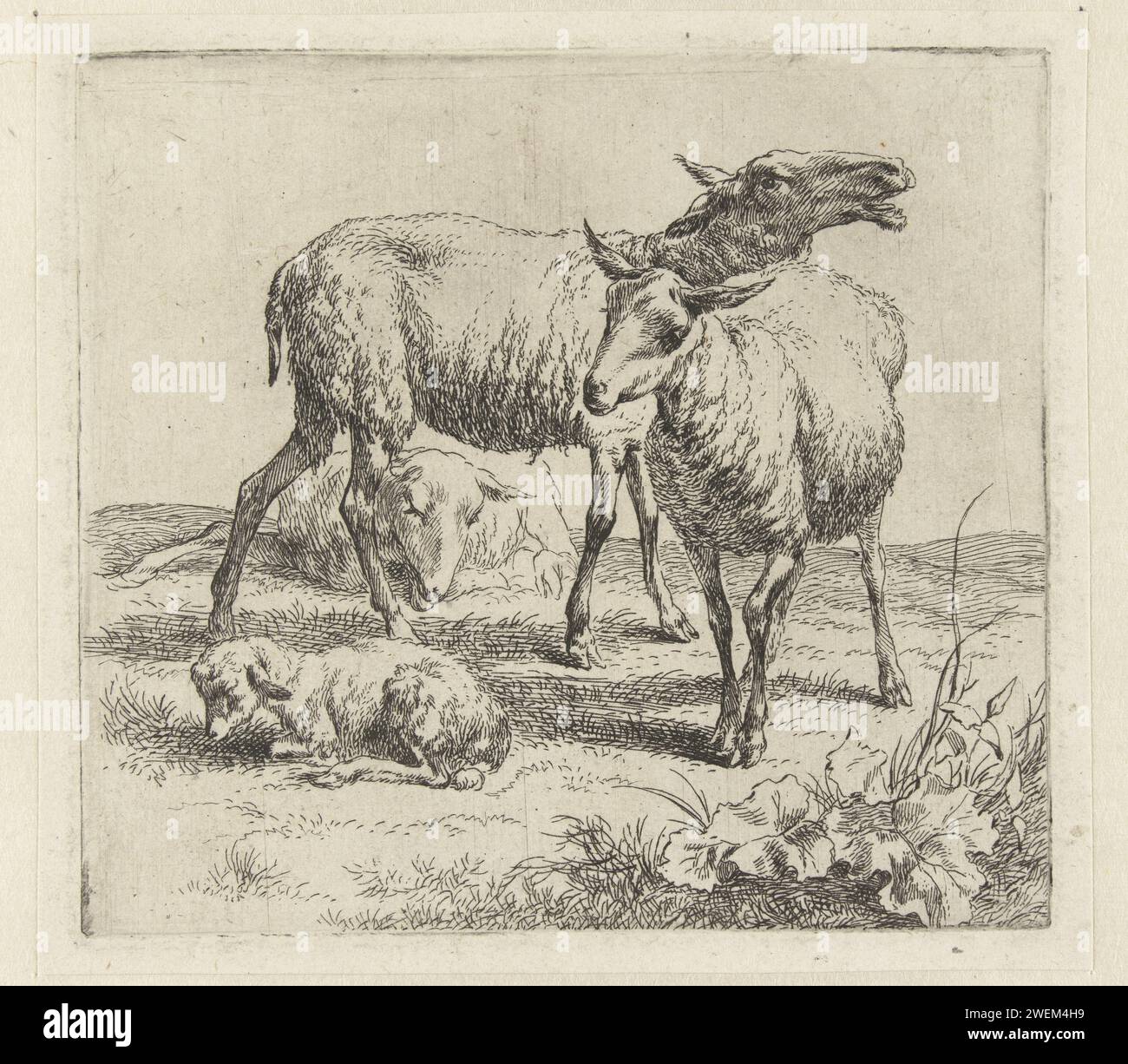 Blewing sheep between two sheep and a lamb, Nicolaes Pietersz Berchem ...