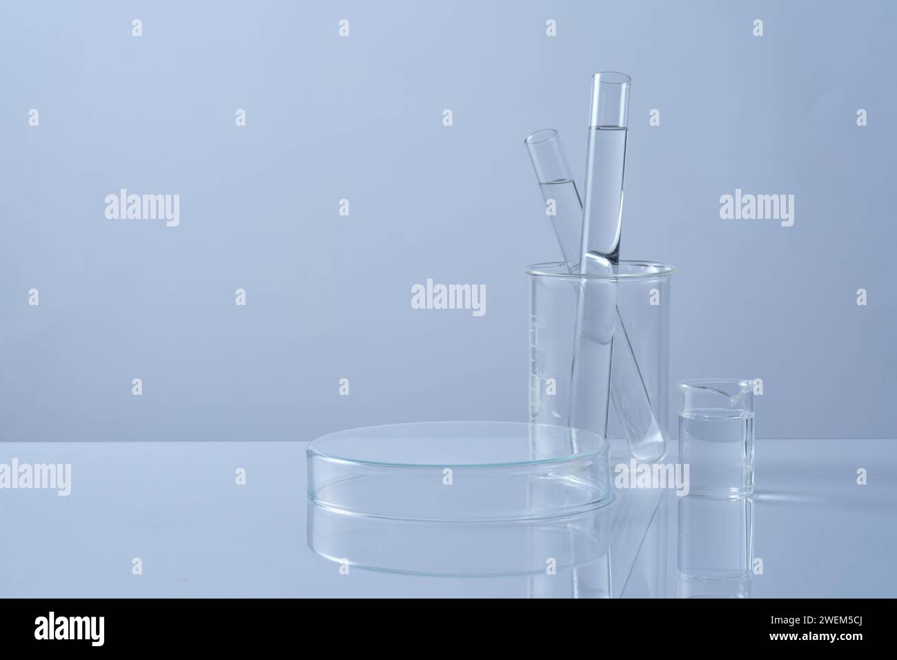 Petri dish upside down hi-res stock photography and images - Alamy