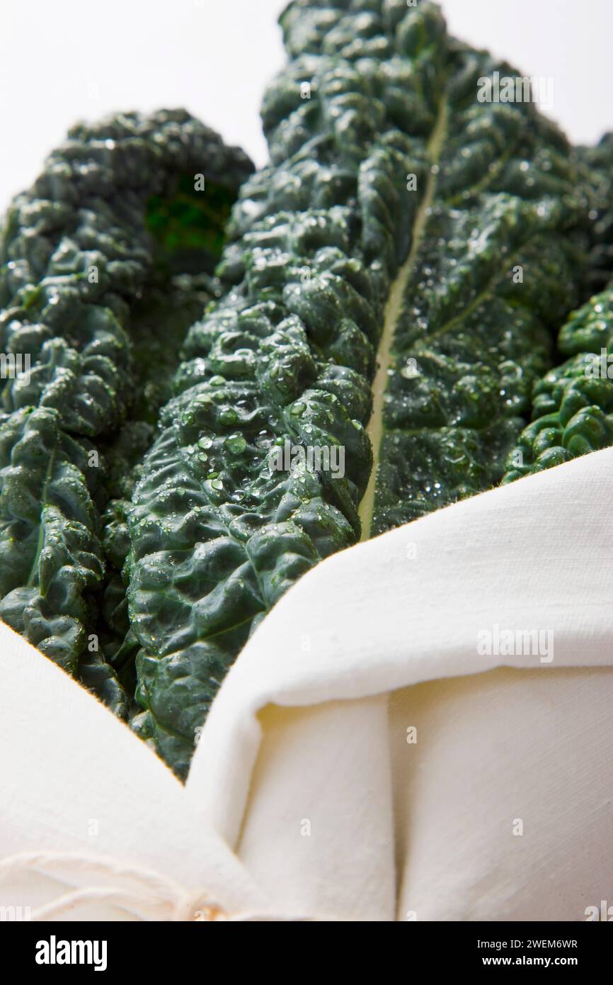 Wrapped in a cloth hi-res stock photography and images - Alamy