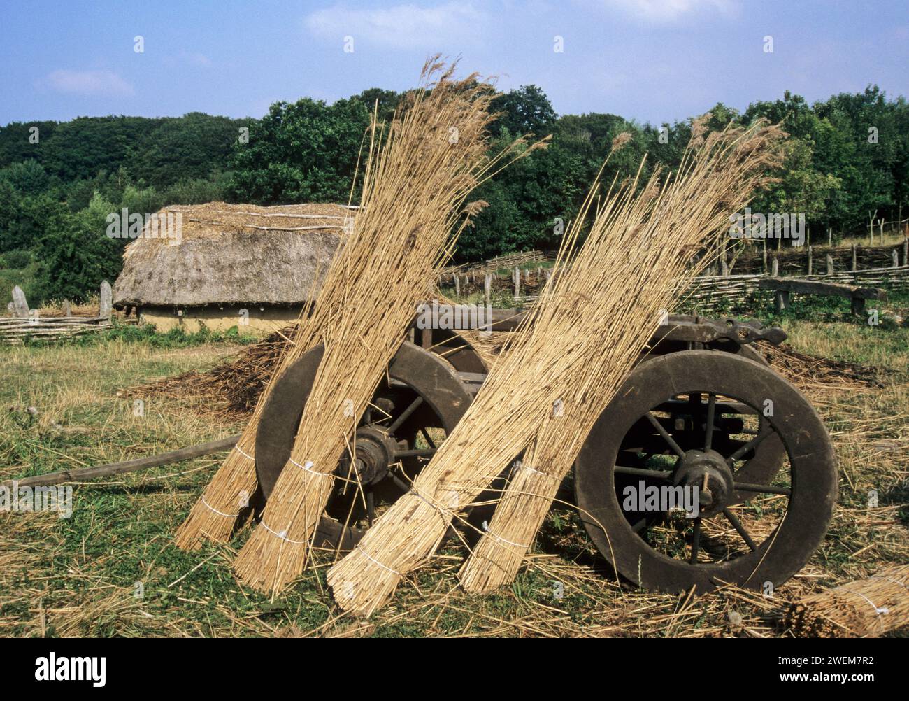 Hay cart hi-res stock photography and images - Alamy