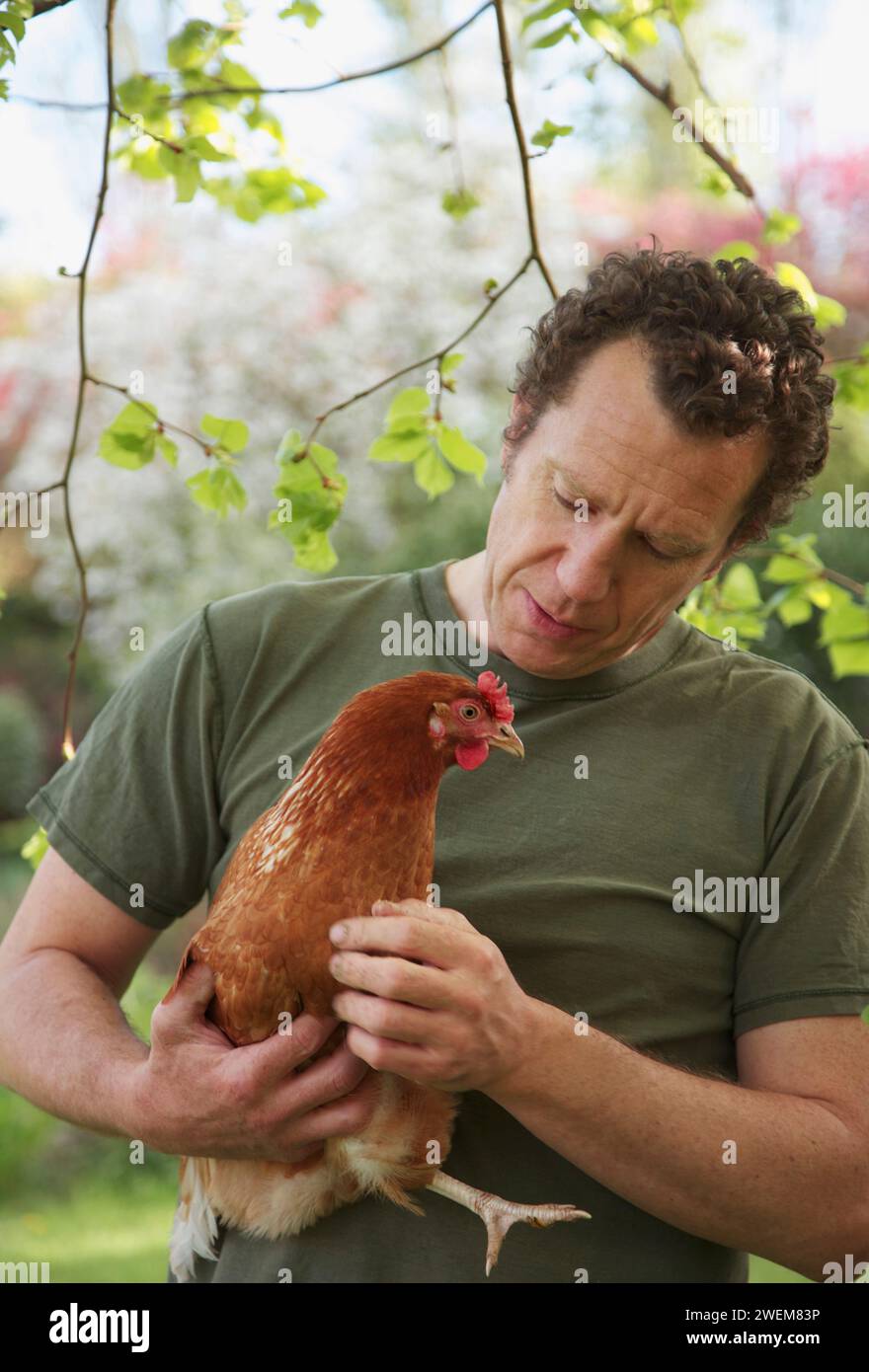 Male masculine poultry chicken hi-res stock photography and images - Alamy