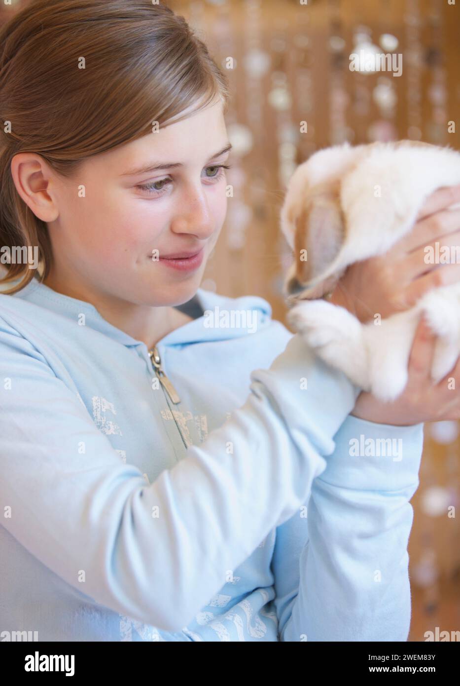 Girl Holding white Rabbit Stock Photo - Alamy