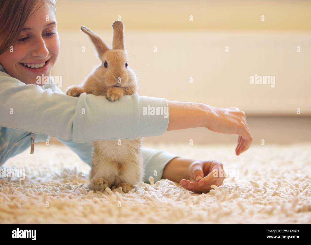 Rabbit Leaning against Girl's Arm Stock Photo - Alamy