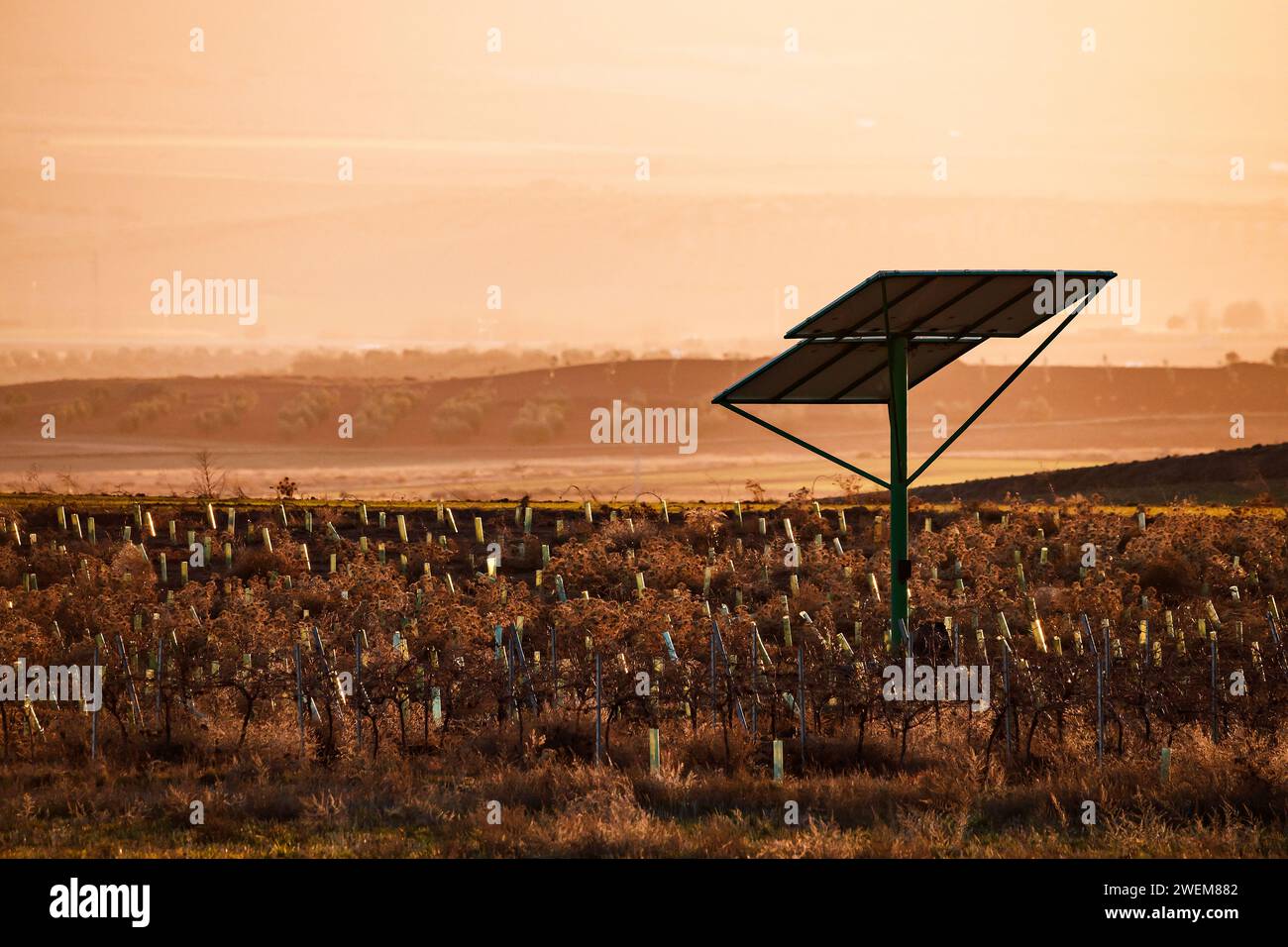 Fields solar panels hi-res stock photography and images - Alamy