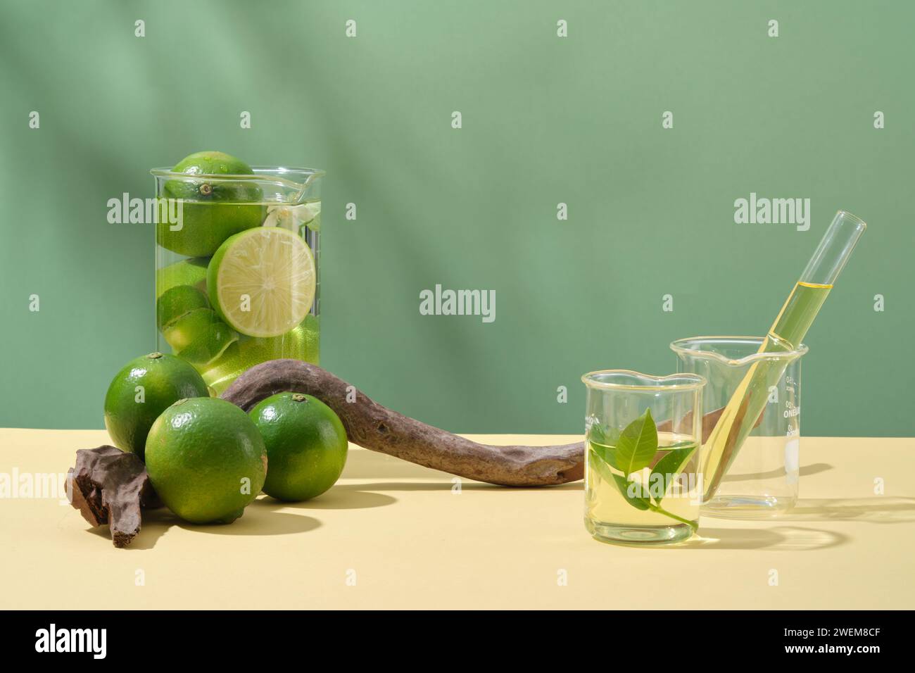 Front view of fresh limes, dried twig and lab glassware containing lime ...