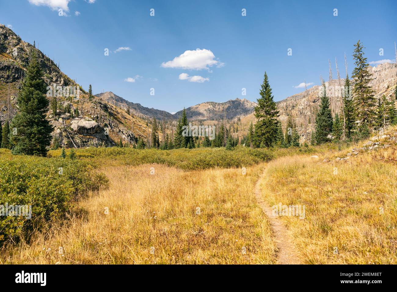 Hiking trail in the Mount Zirkel Wilderness, Colorado Stock Photo - Alamy