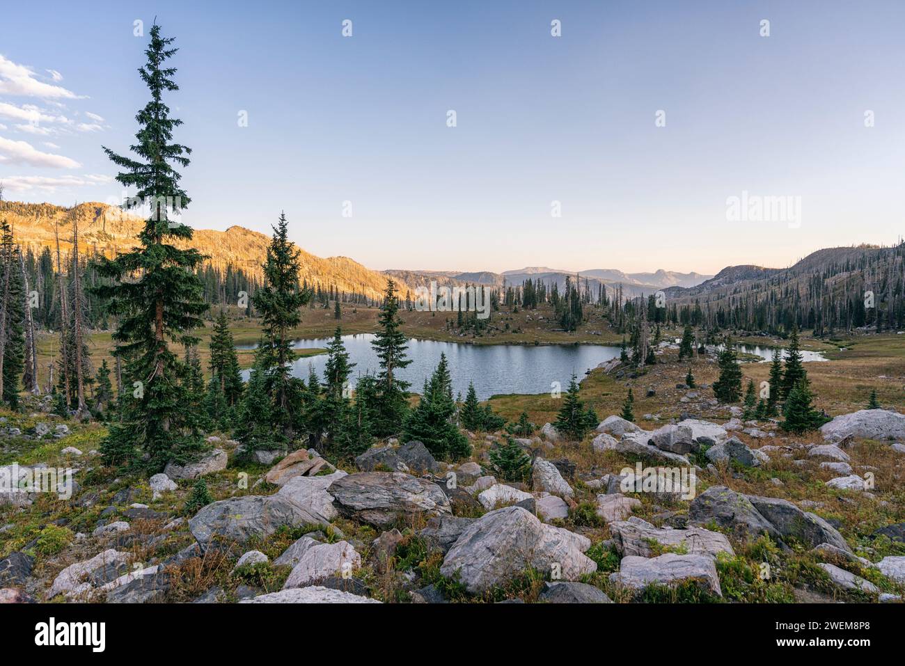 Landscape in the Mount Zirkel Wilderness, Colorado Stock Photo - Alamy