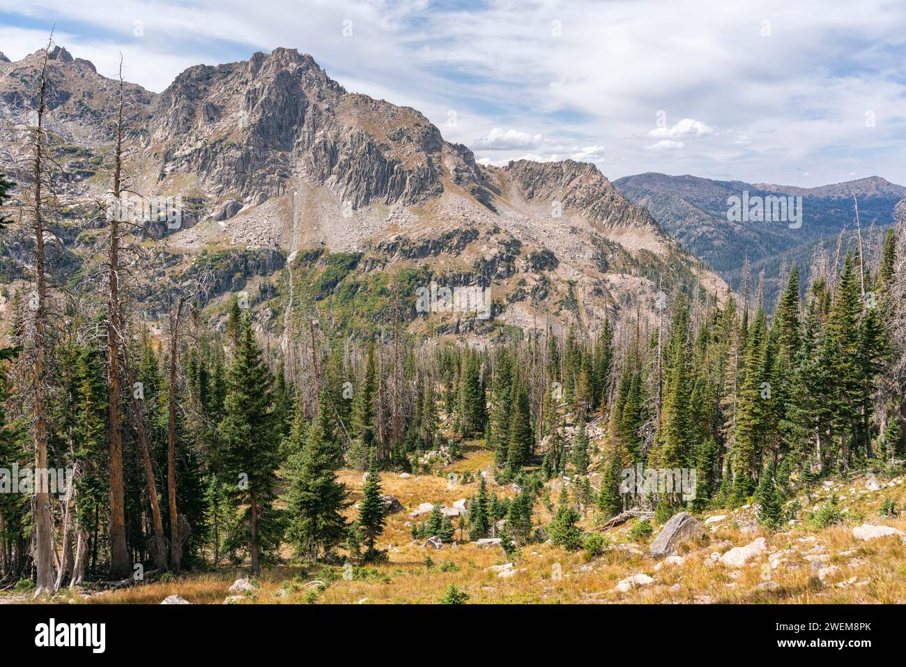 Classic landscape in the Mount Zirkel Wilderness, Colorado Stock Photo ...