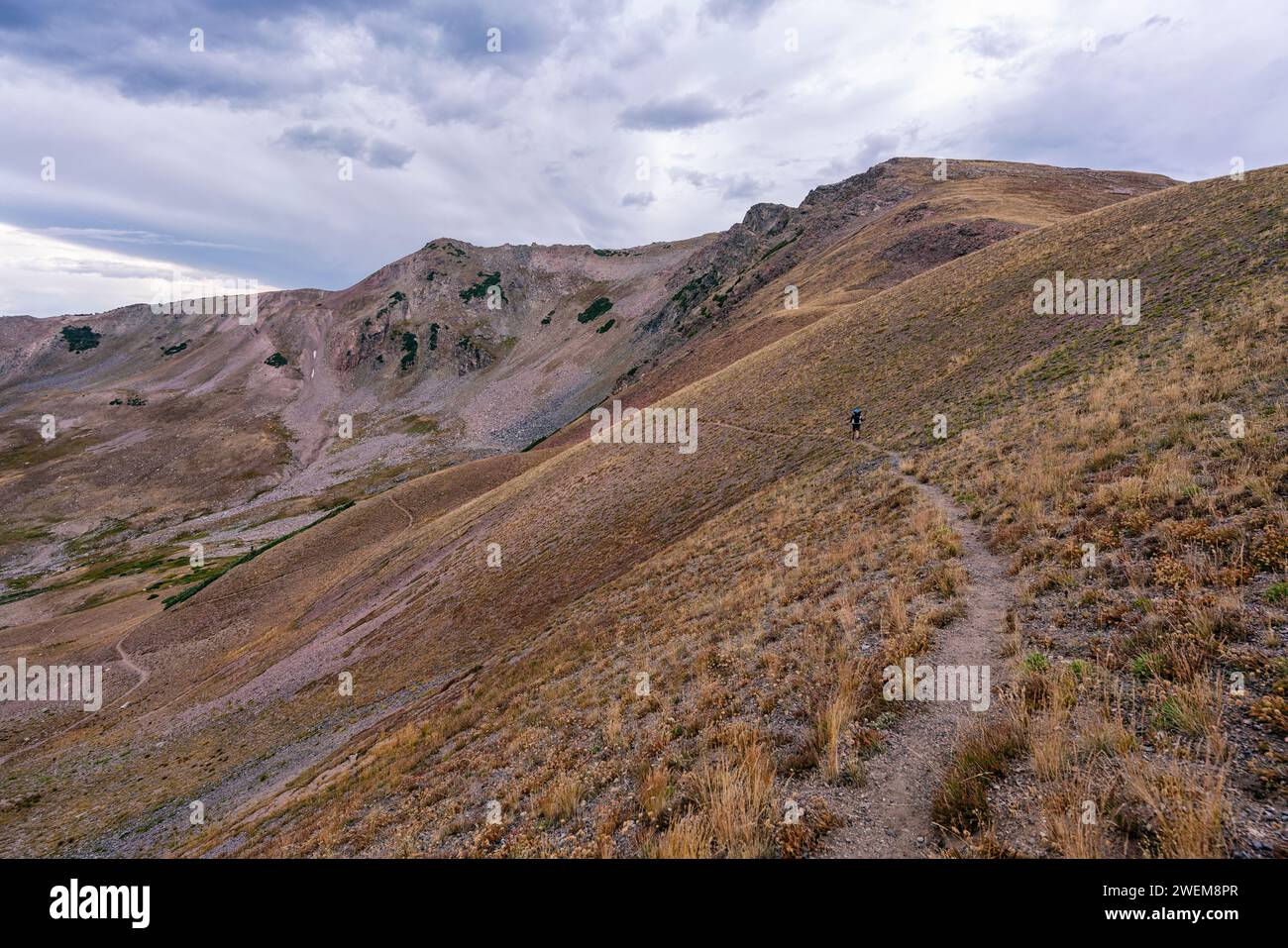 Hiking trail in the Mount Zirkel Wilderness, Colorado Stock Photo - Alamy