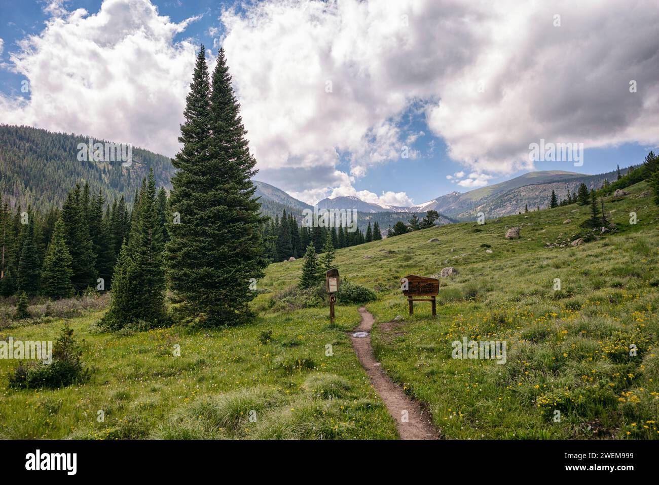 Hiking trail in the Indian Peaks Wilderness, Colorado Stock Photo - Alamy