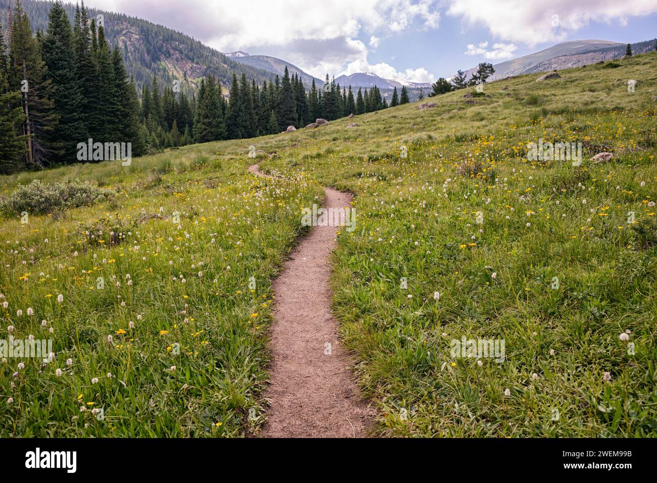 Hiking trail in the Indian Peaks Wilderness, Colorado Stock Photo - Alamy