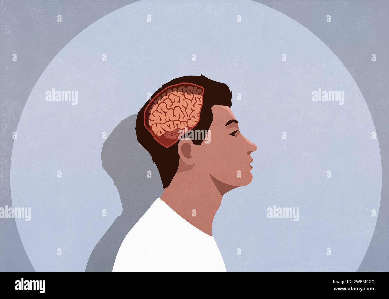 Profile spotlight view of brain inside man's head Stock Photo - Alamy