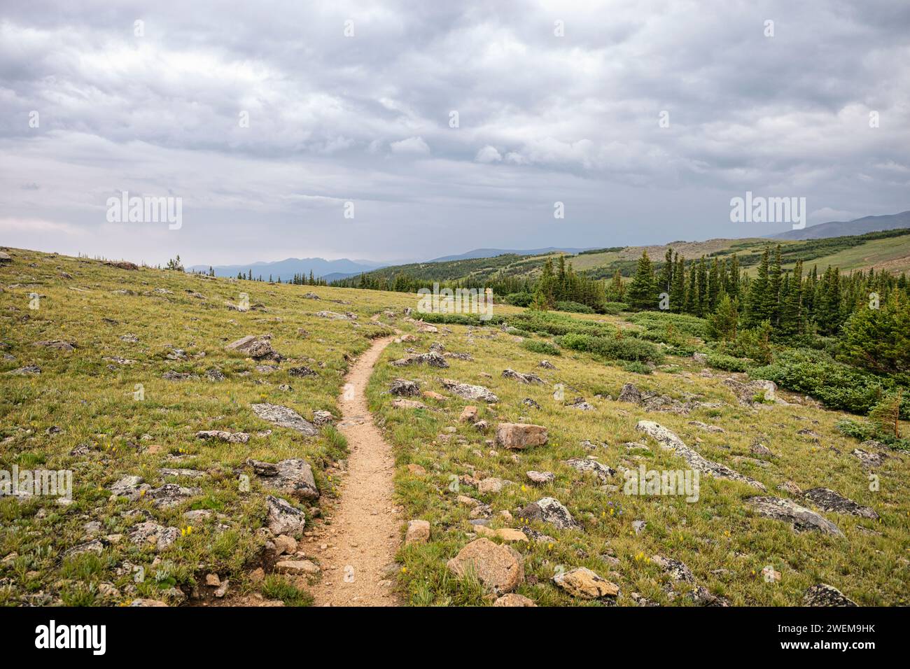 Hiking trail in the Indian Peaks Wilderness, Colorado Stock Photo - Alamy