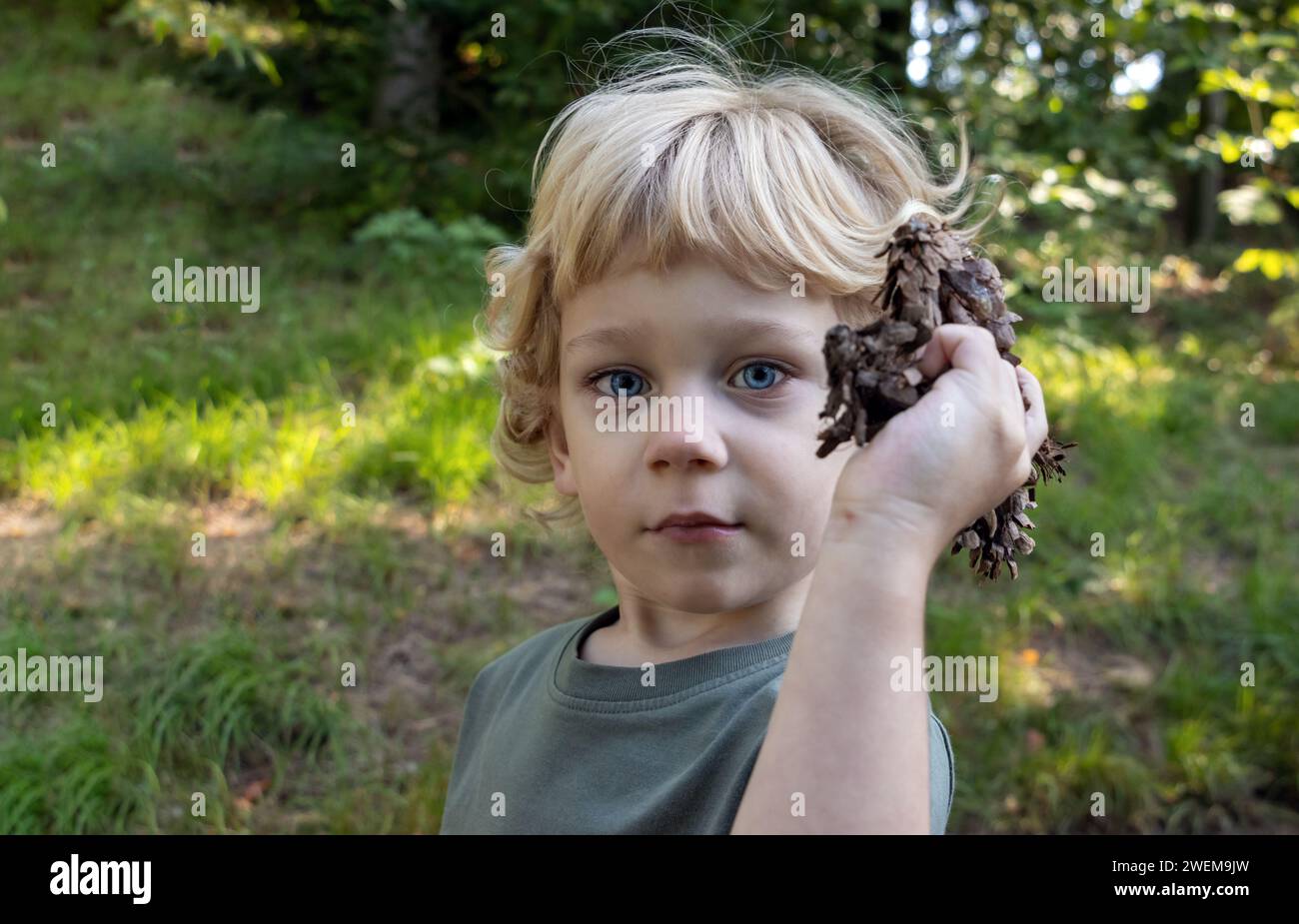 Boy explore forest hi-res stock photography and images - Alamy