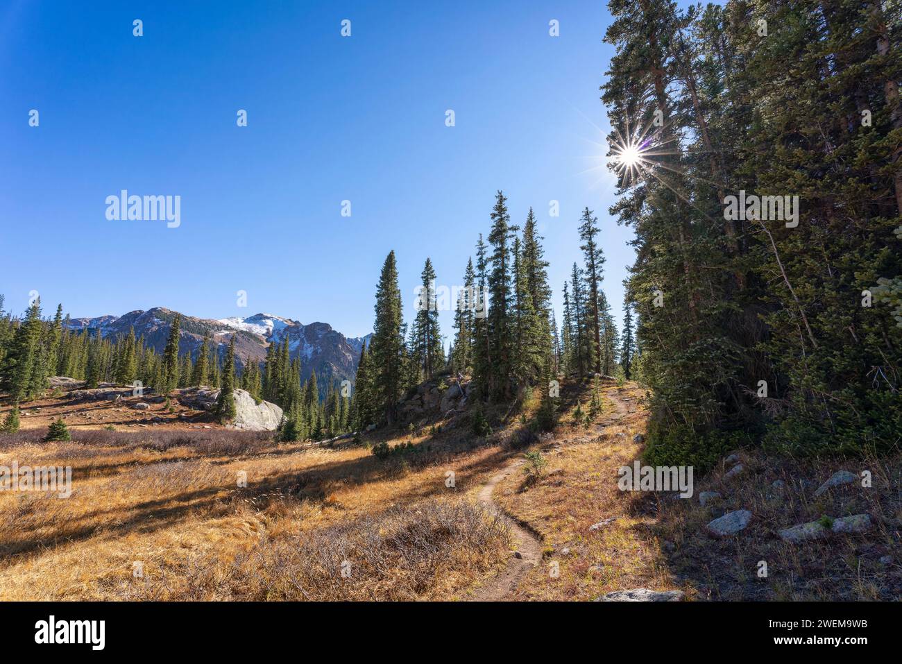 Sunny day in the Eagles Nest Wilderness, Colorado Stock Photo - Alamy
