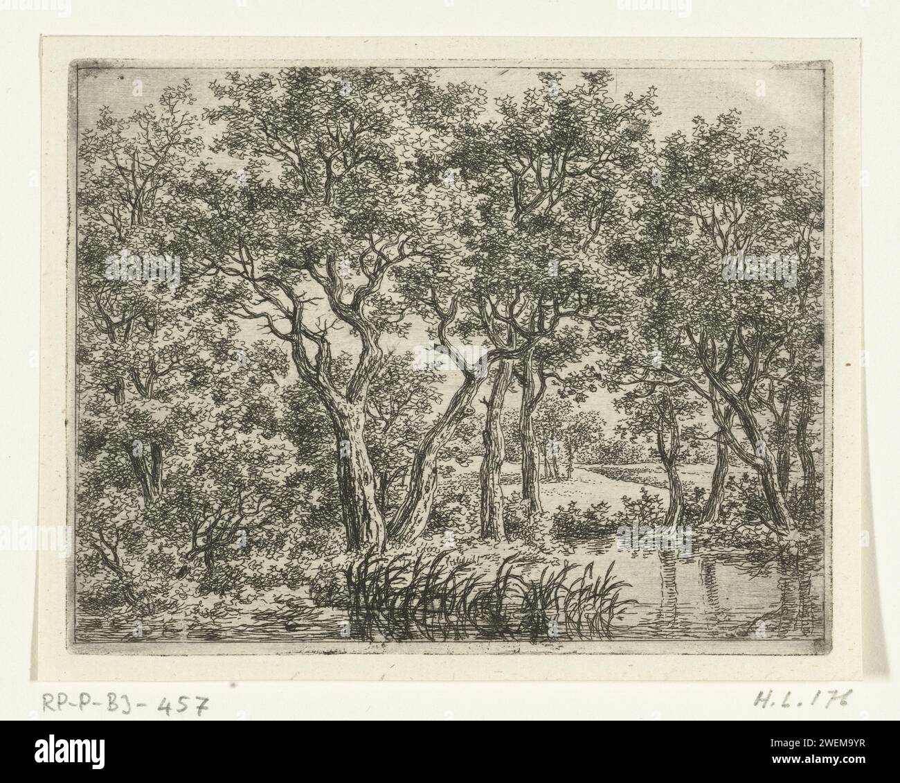 Forest landscape with pond, Ernst Willem Jan Bagelaar, 1798 - 1837 ...