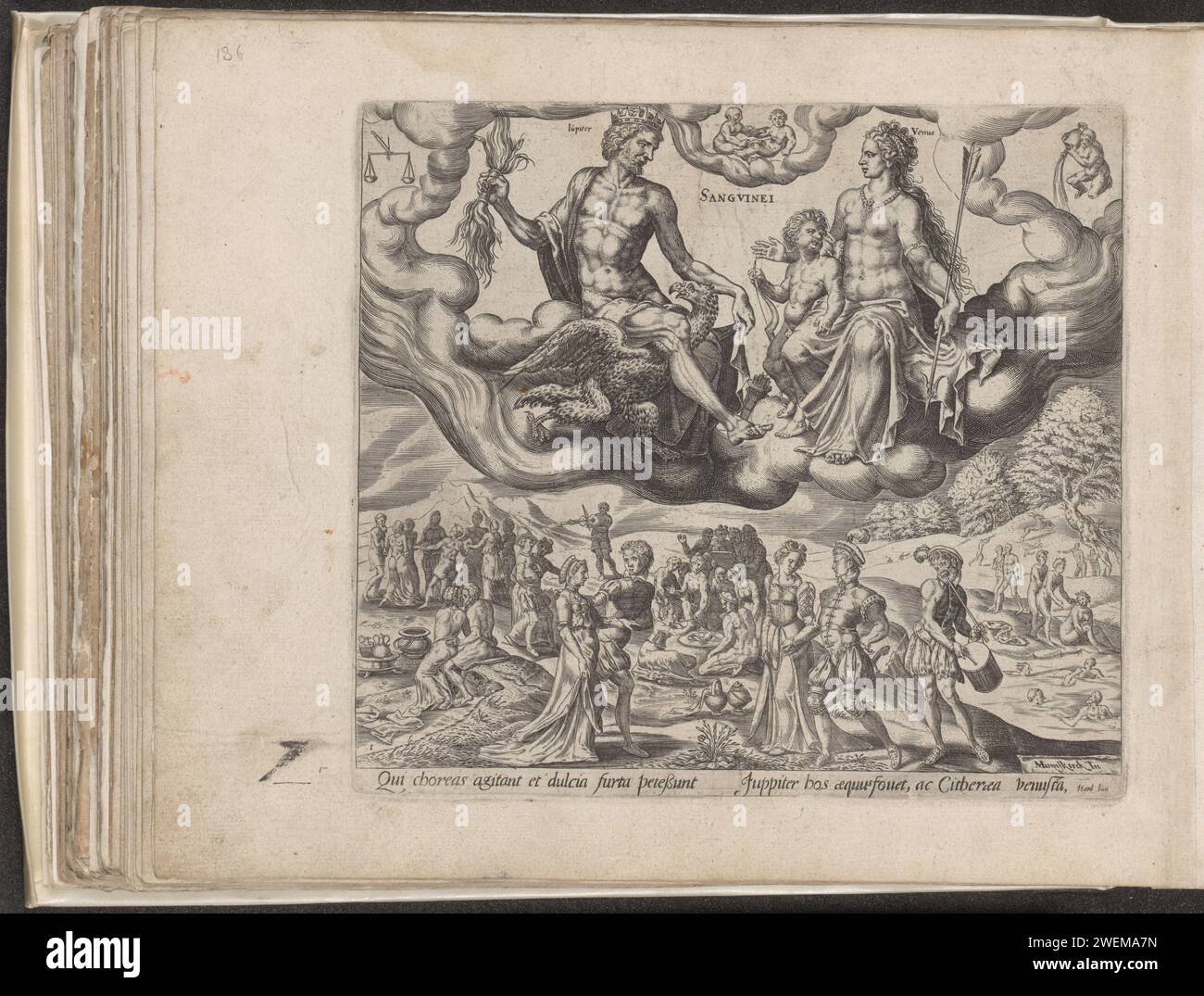 Sanguinics hi-res stock photography and images - Alamy
