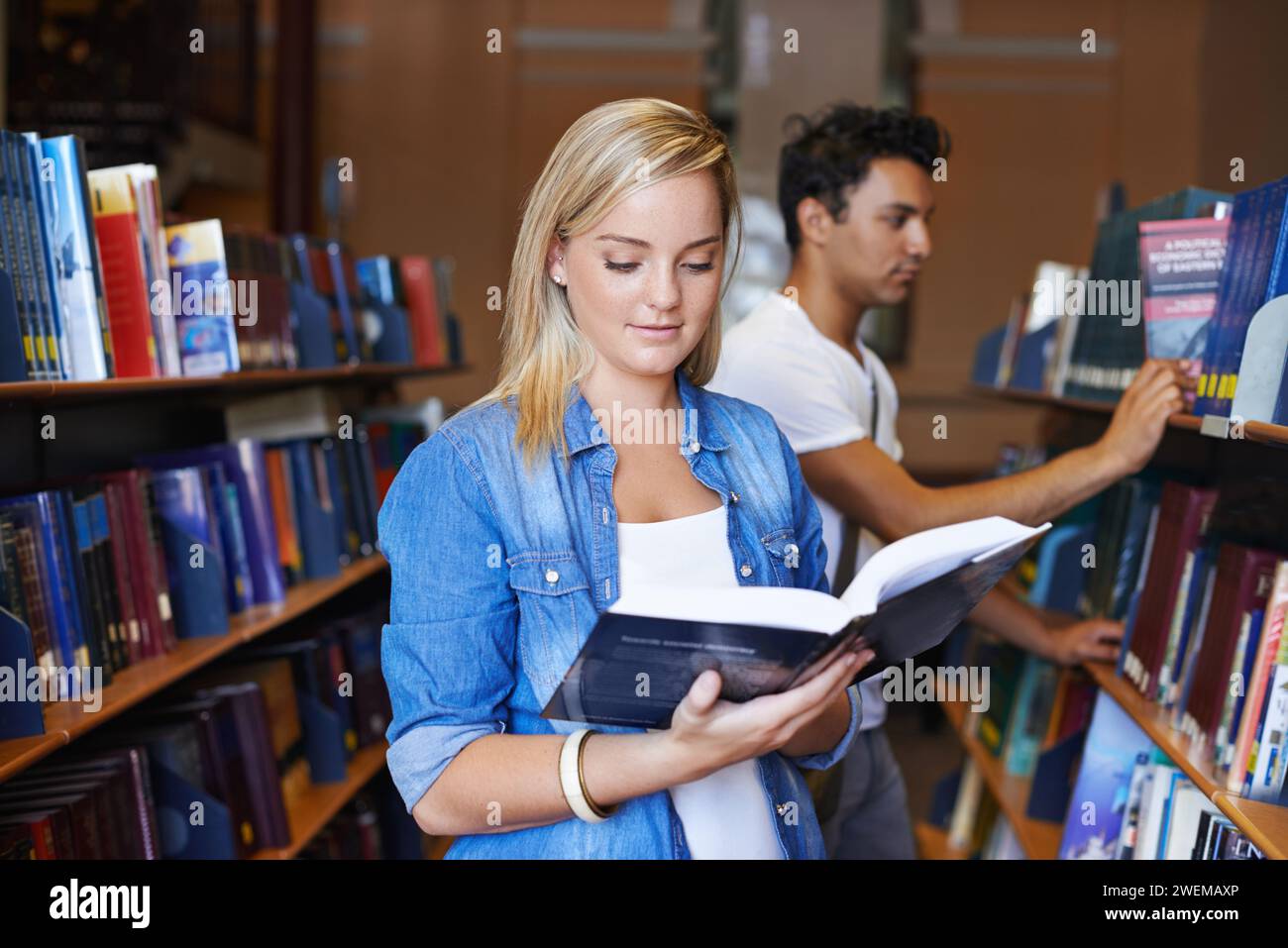 Reading, book or woman in a library to search at university, college or ...