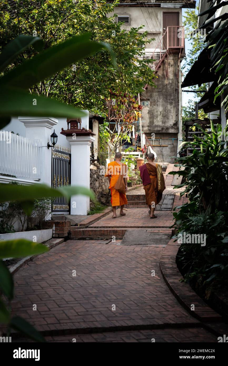 Two young buddhist monks walking on alley with tropical plants in Laos ...