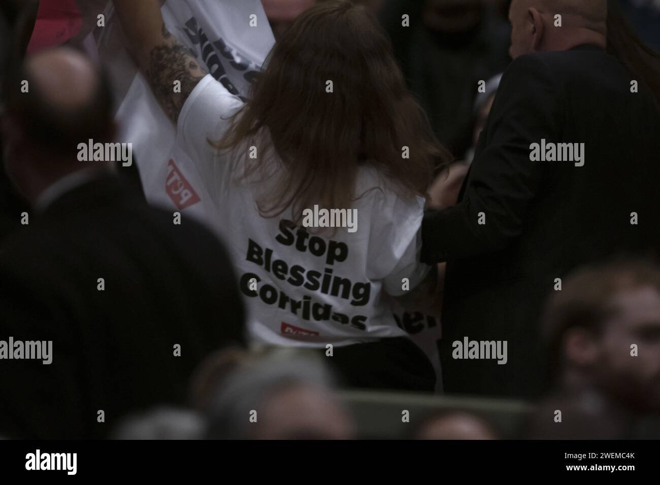 Peta protests hi-res stock photography and images - Alamy