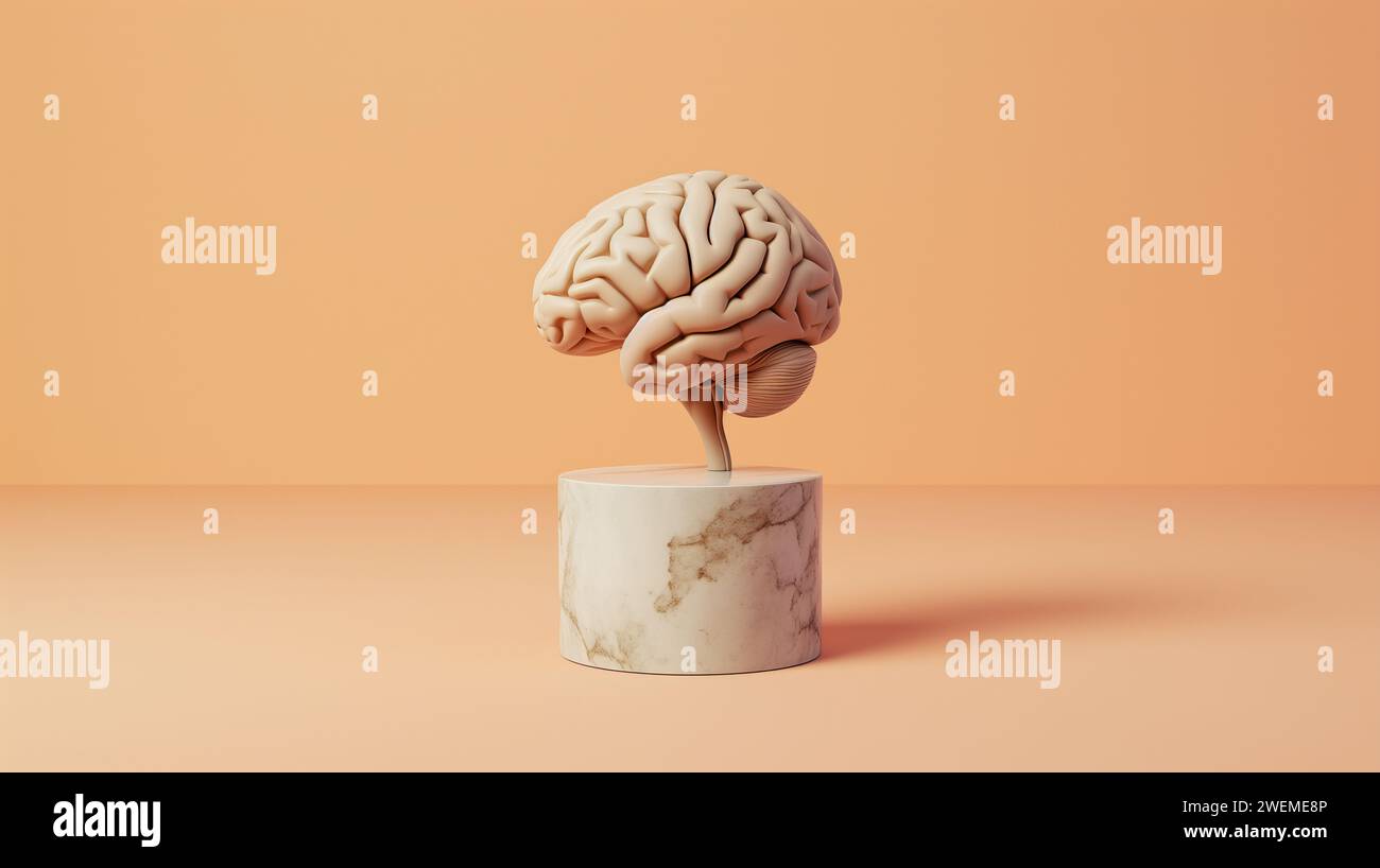 brain on a marble pedestal against peach color background Stock Photo ...