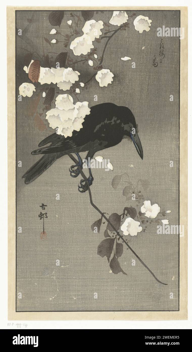 Crow with cherry blossom, Ohara Koson, 1900 - 1930 print Crow, to the ...