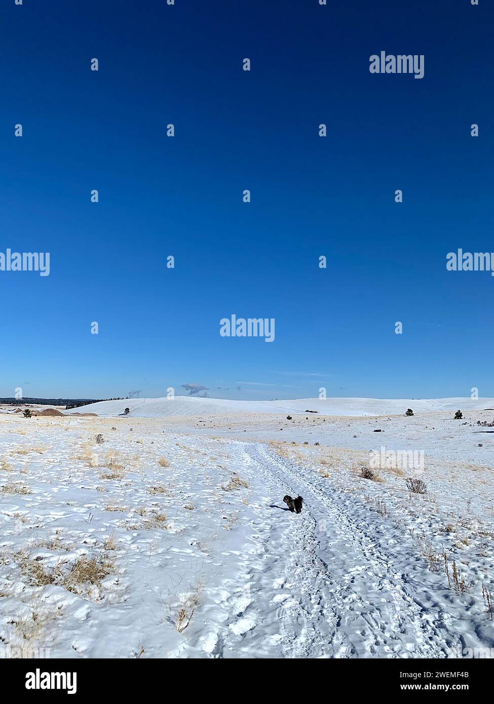 Nowy trail hi-res stock photography and images - Alamy