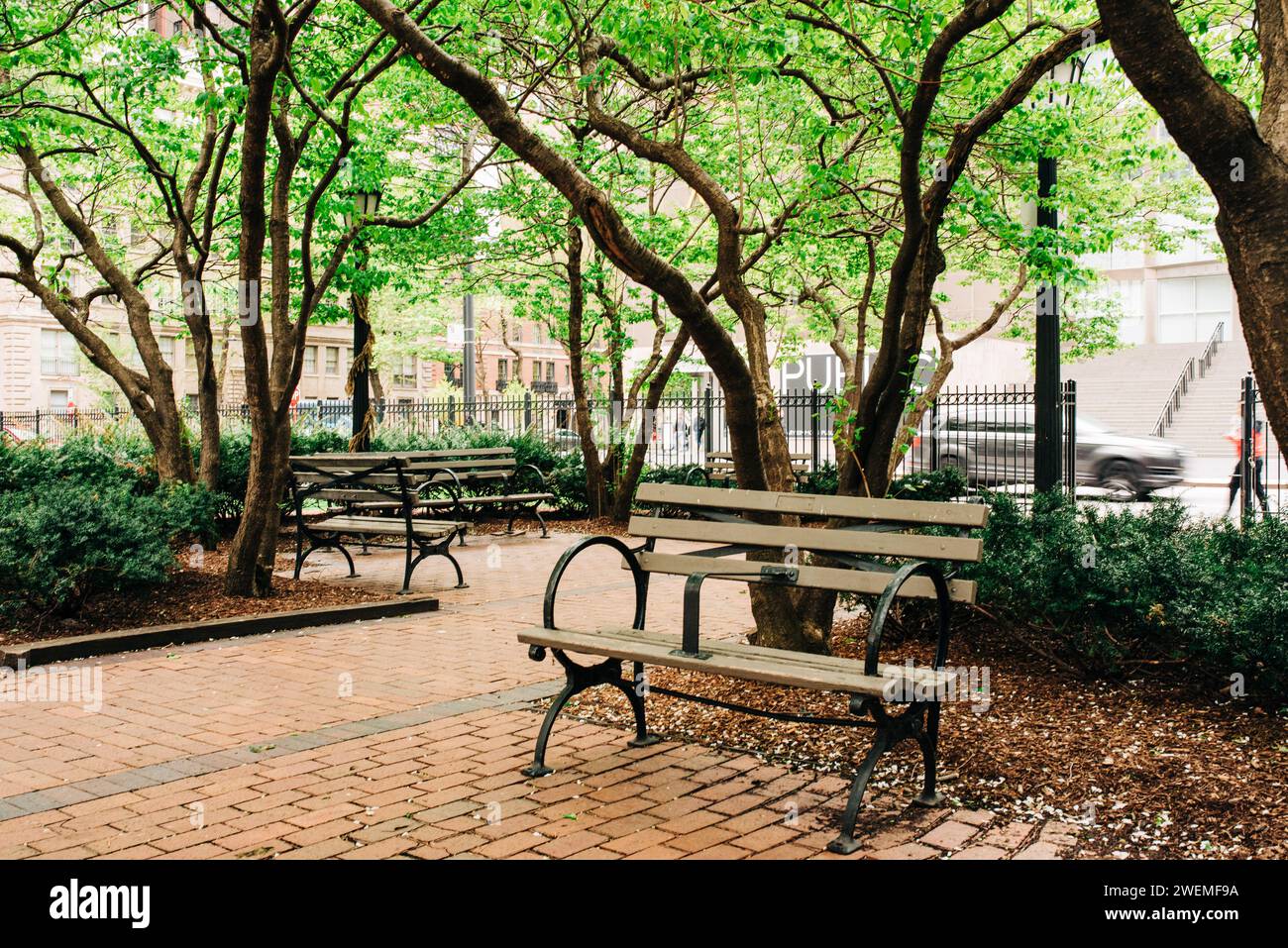Park Bench in Center of Park Stock Photo - Alamy