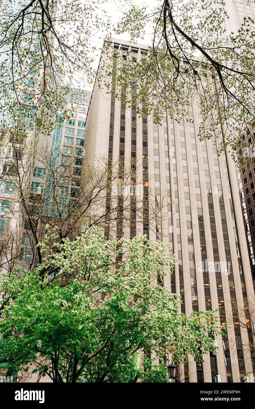 Modern big building skyscraper hi-res stock photography and images - Alamy