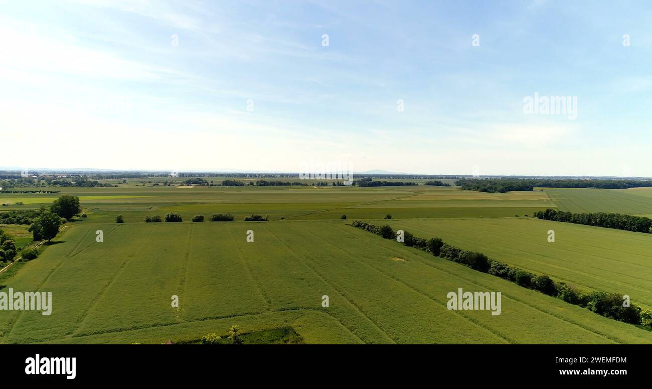 Aerial view of Forest Stock Photo - Alamy