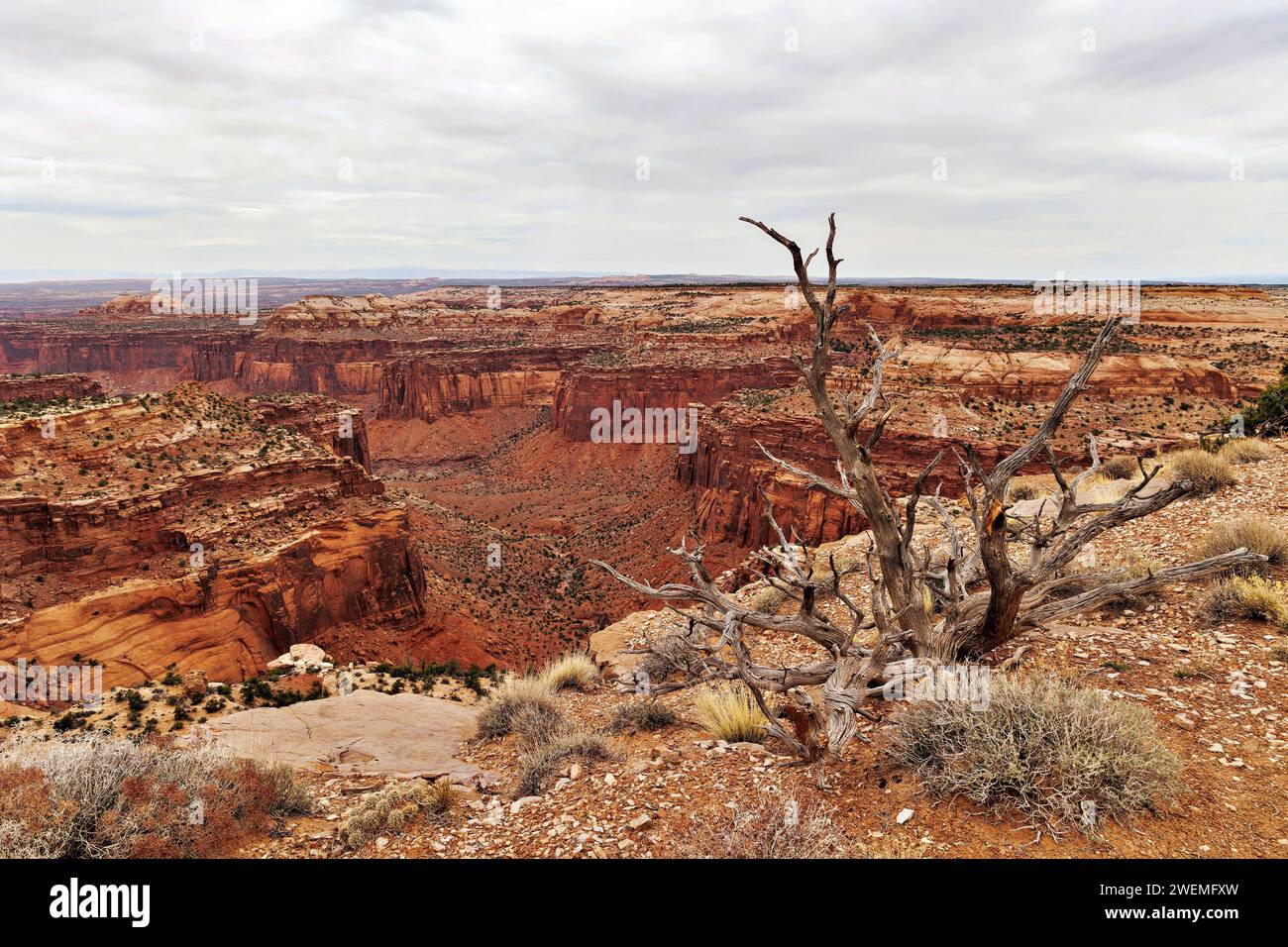 Sunset over canyons, Canyonlands National Park, Moab Utah Stock Photo ...