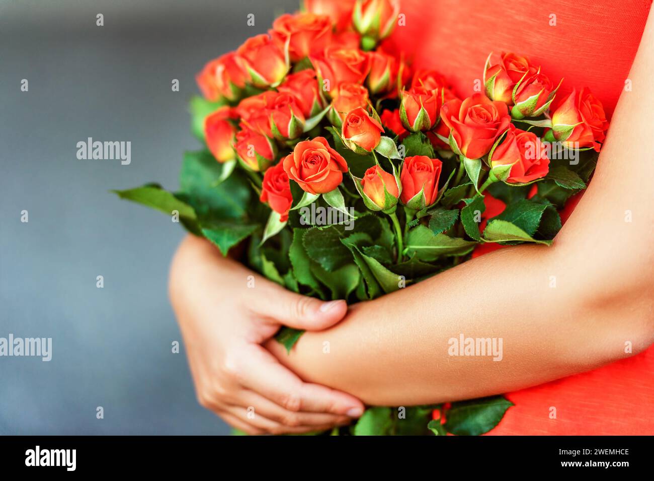 Beautiful roses in hands hi-res stock photography and images - Alamy