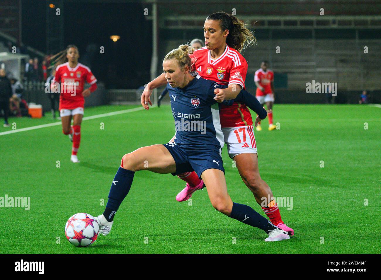 Jessica eva katarina samuelsson hi-res stock photography and images - Alamy