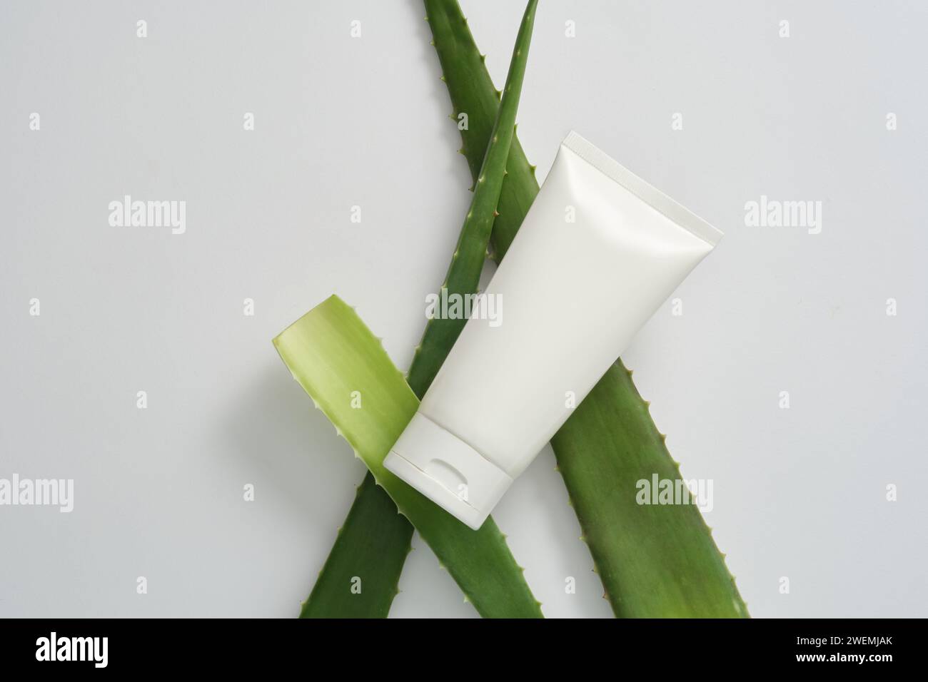 Rejuvenating and moisturizing cosmetics with natural aloe extract for ...