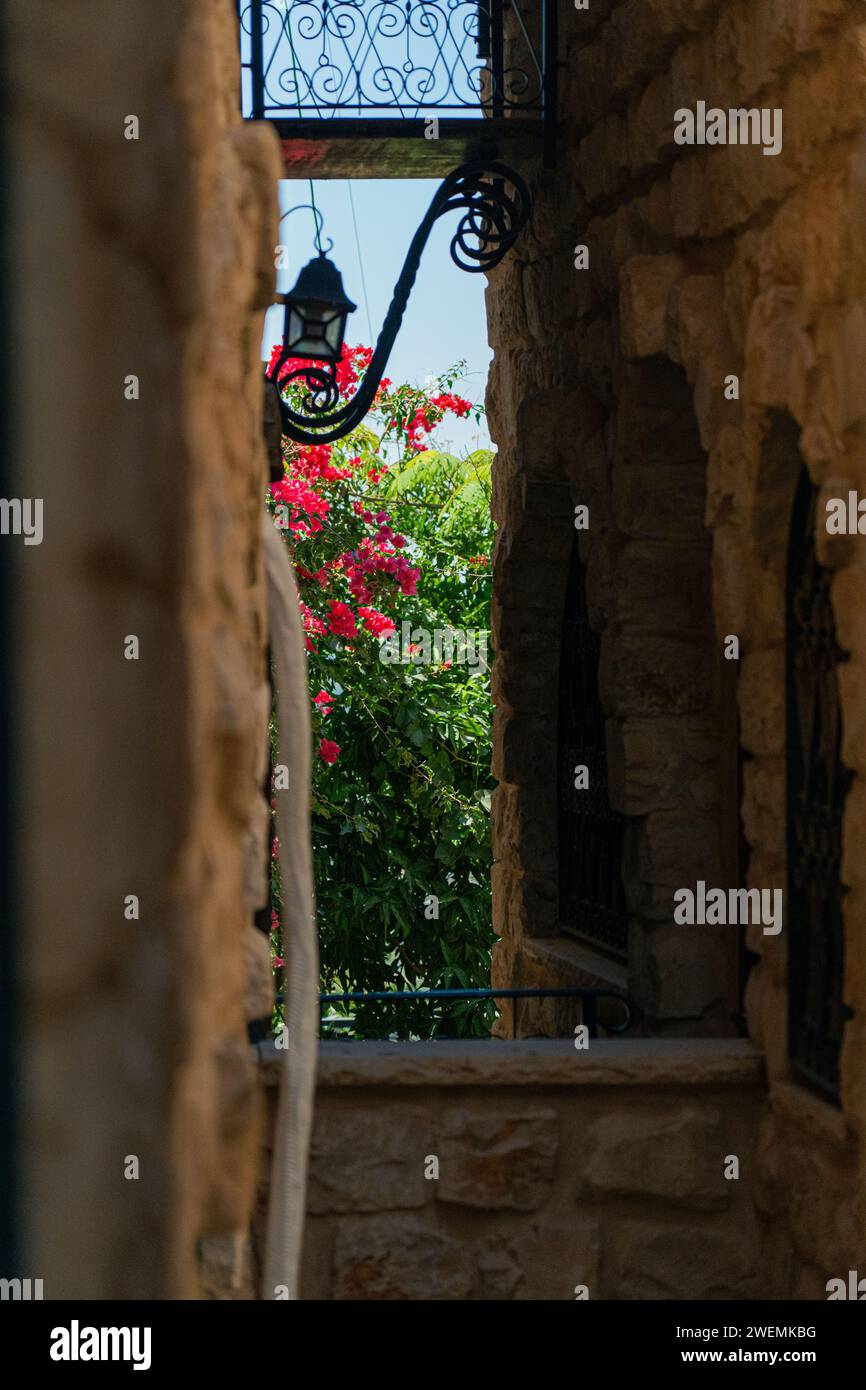 Vertical branch hi-res stock photography and images - Alamy