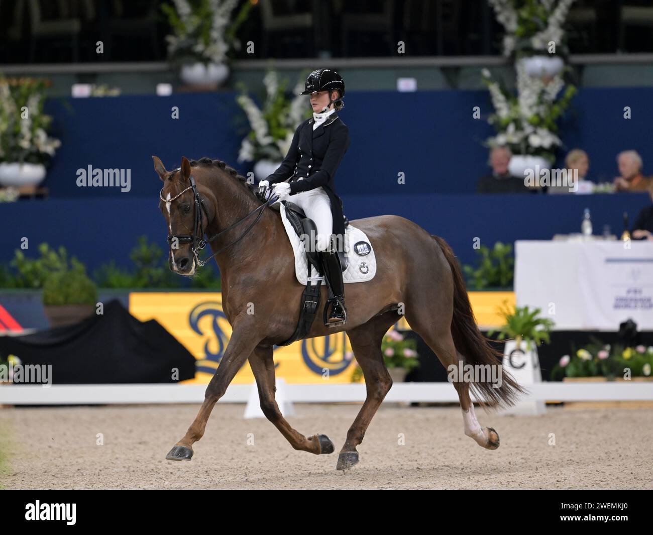 AMSTERDAM - Devenda Dijkstra with Hero during the FEI World Cup ...