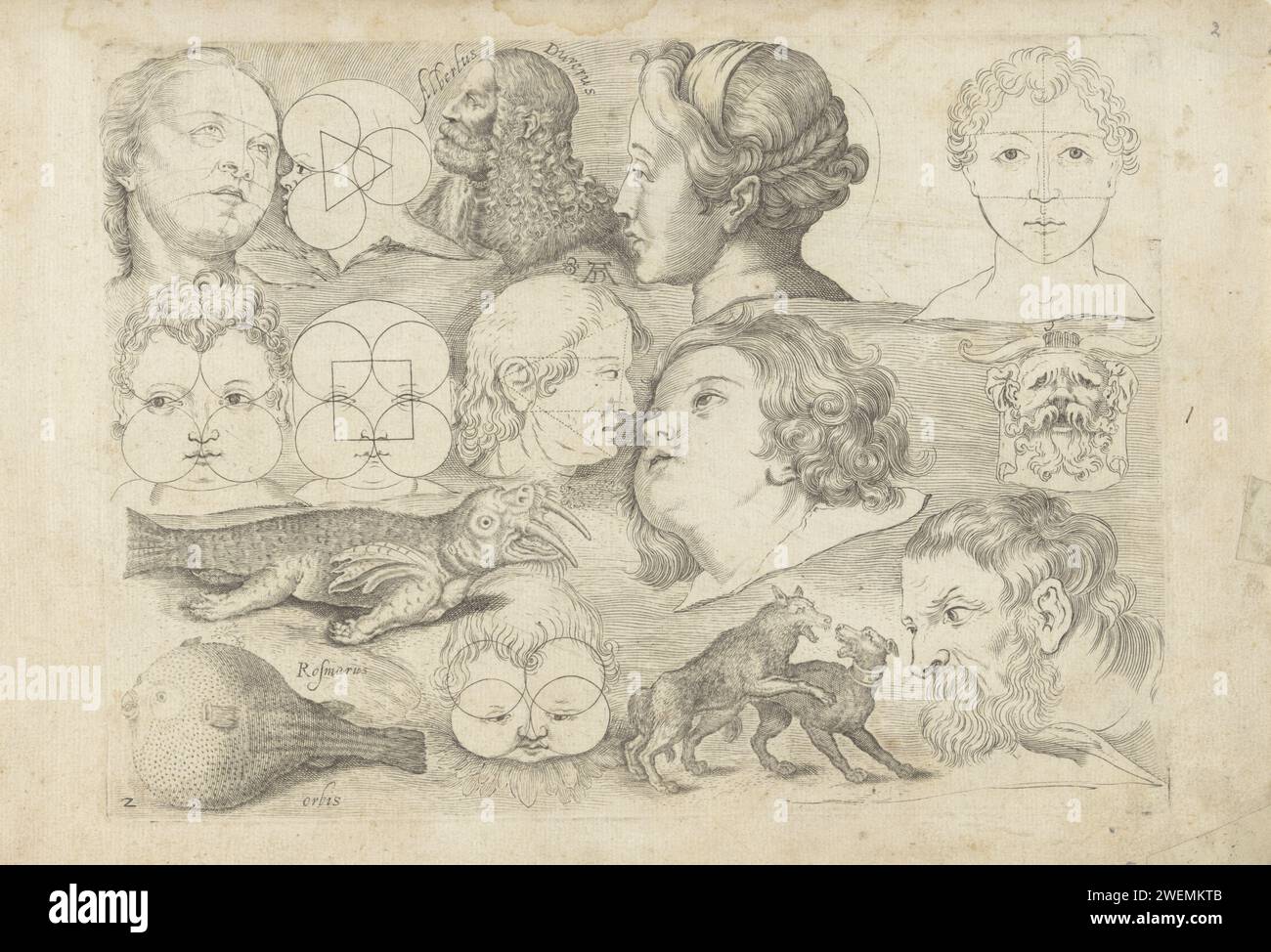 Study sheet with drawing examples: heads and animals, 1610 - 1672 print ...