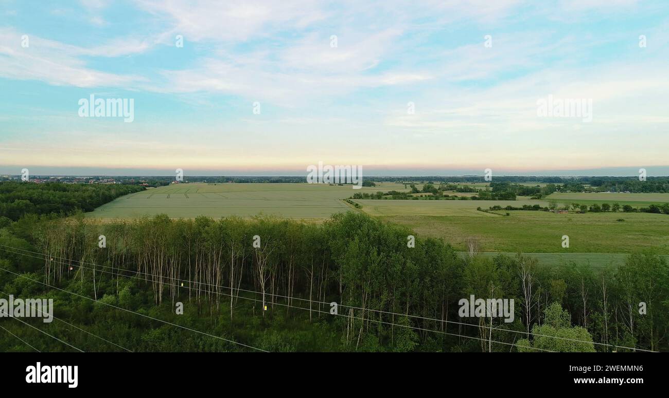 Aerial view of Forest Stock Photo - Alamy