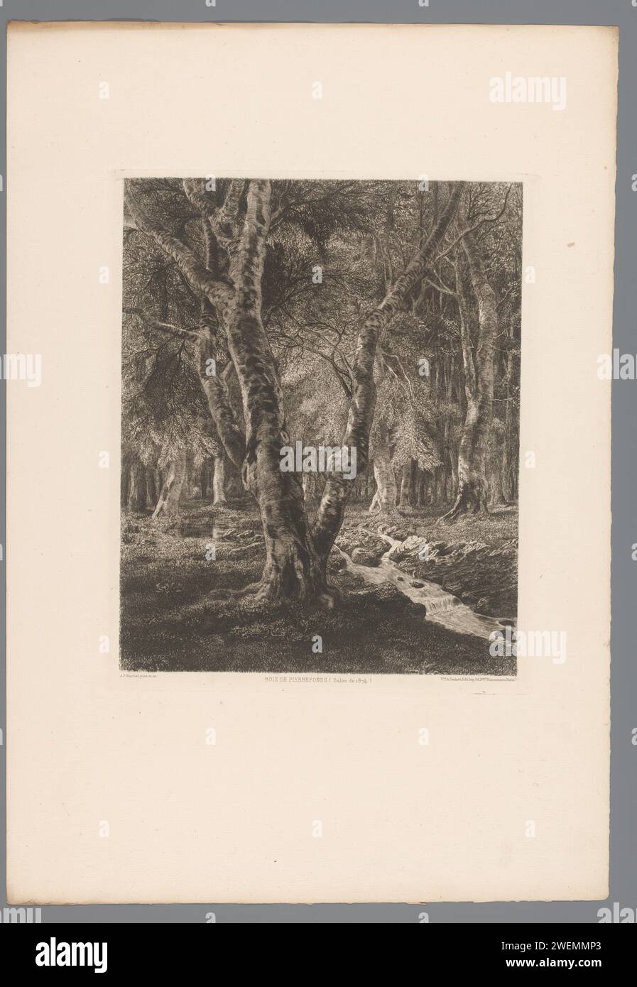 Bos landscape, Adolphe Martial Potémont, 1876 print paper etching ...