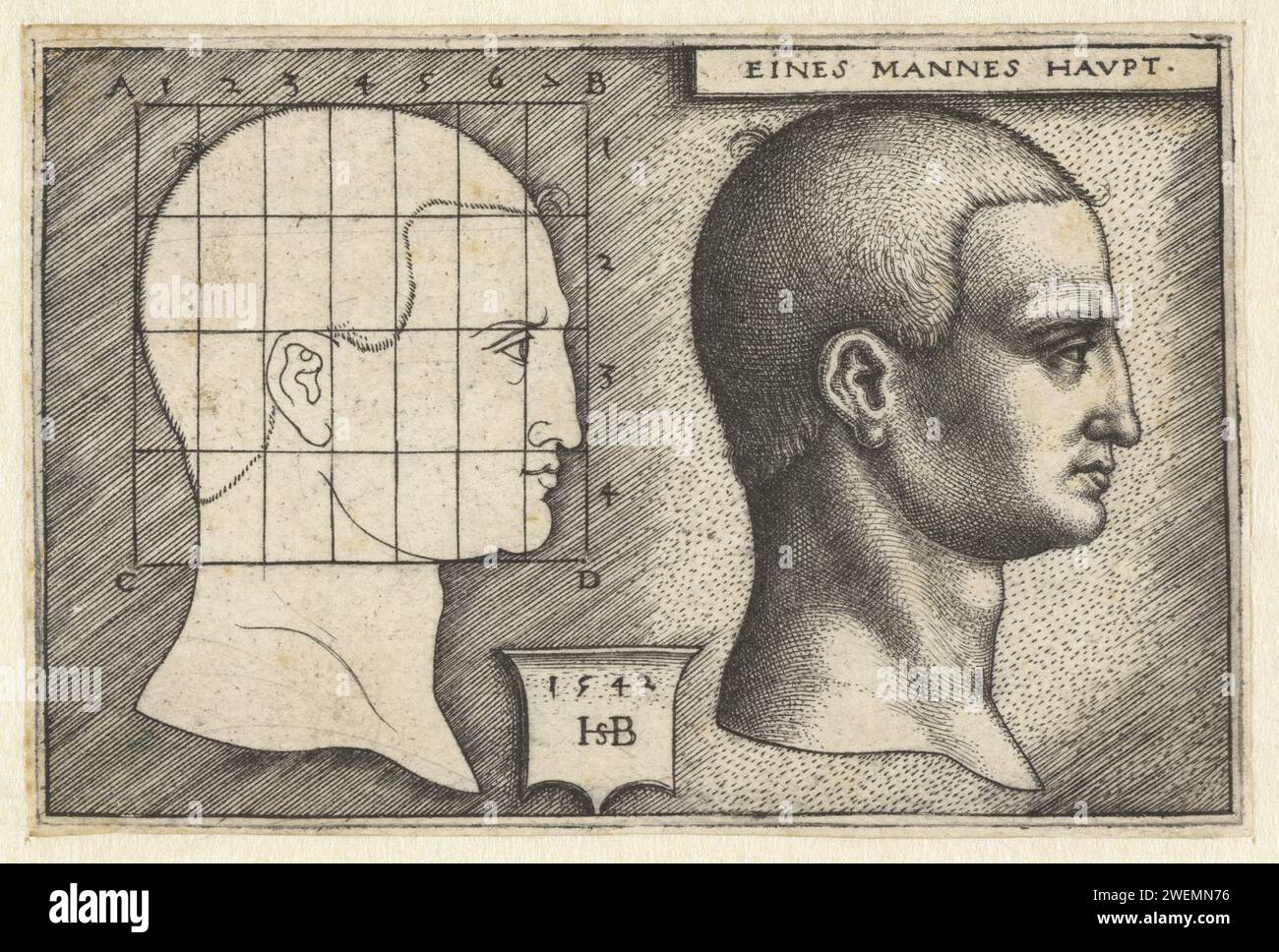 Men's head and drawing in schedule according to proportion theory, Hans ...