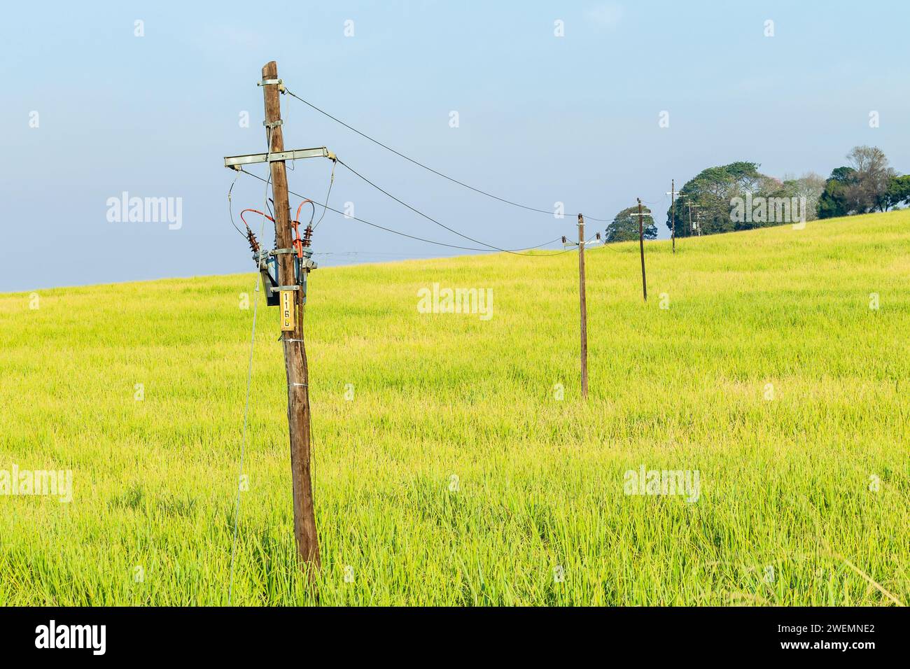 Farm hill electrical poles cables transformer energy supply crops ...