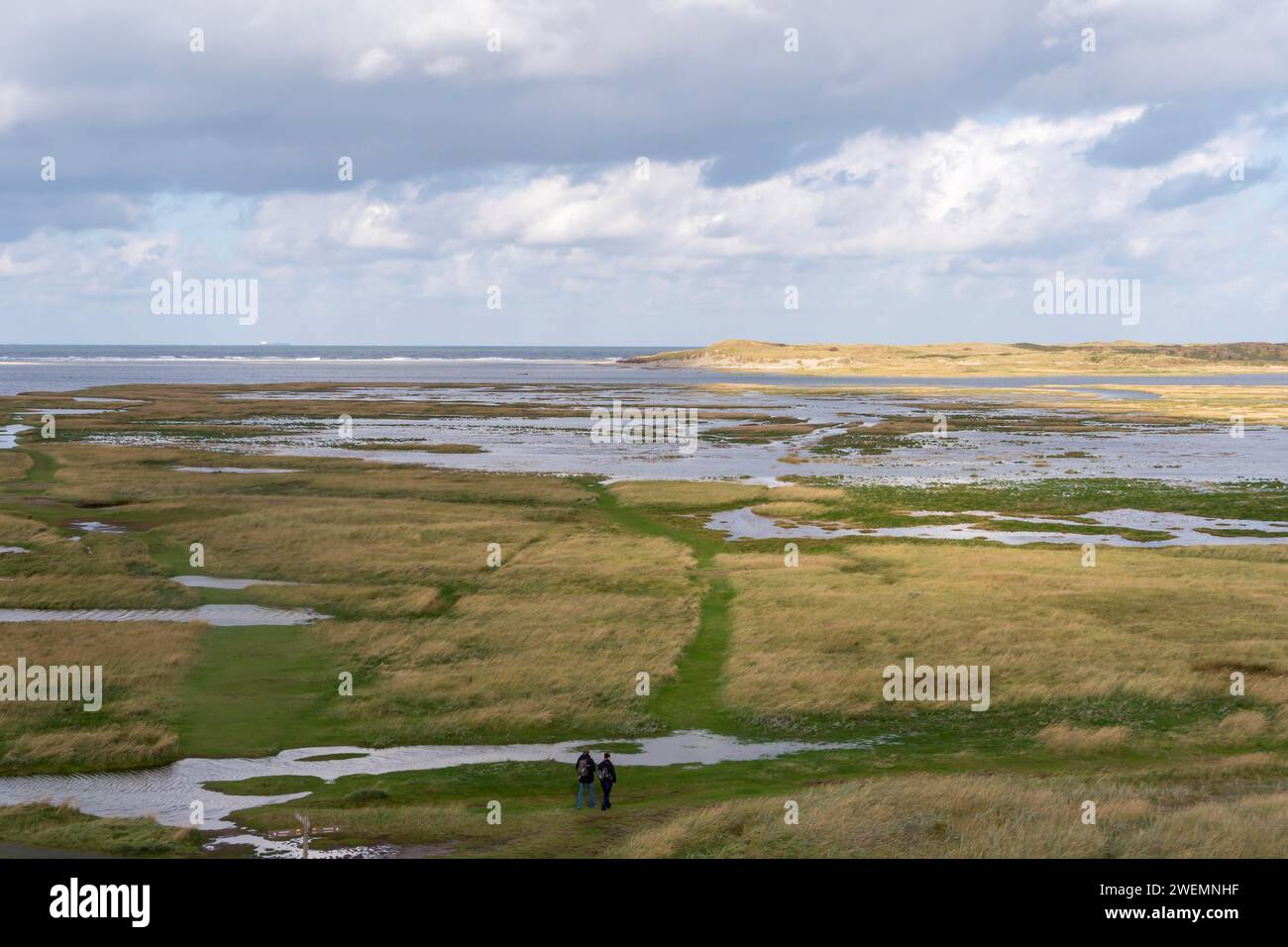 National Park Duinen van Texel, dunes of Texel, North Sea island of Texel, West Frisian island ...