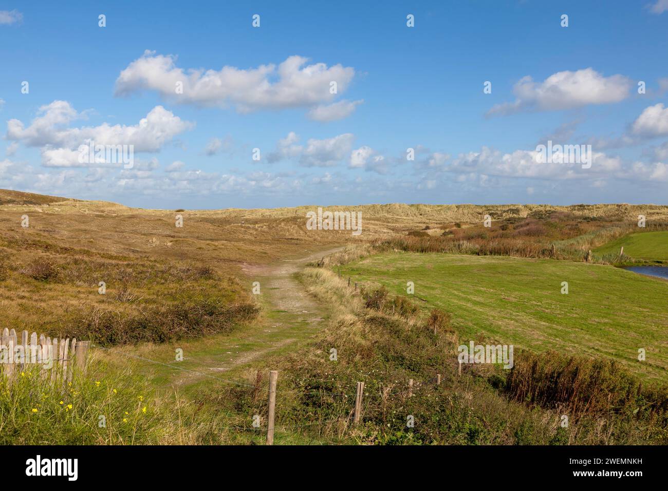 National Park Duinen van Texel, dunes of Texel, North Sea island of Texel, West Frisian island ...