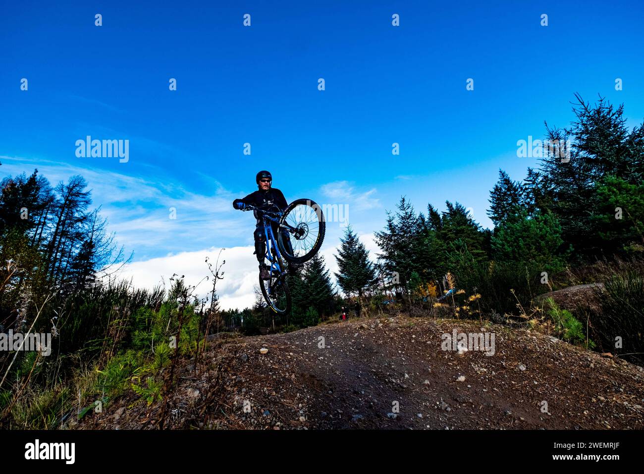 BMX woodland riding Stock Photo - Alamy