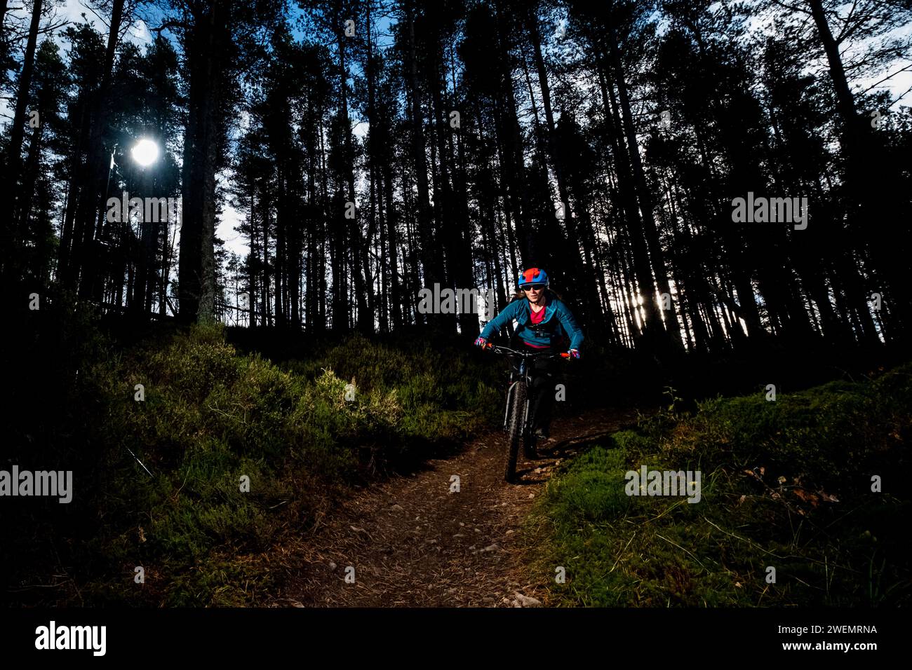 BMX woodland riding Stock Photo - Alamy