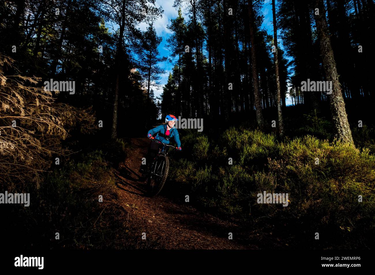 BMX woodland riding Stock Photo - Alamy
