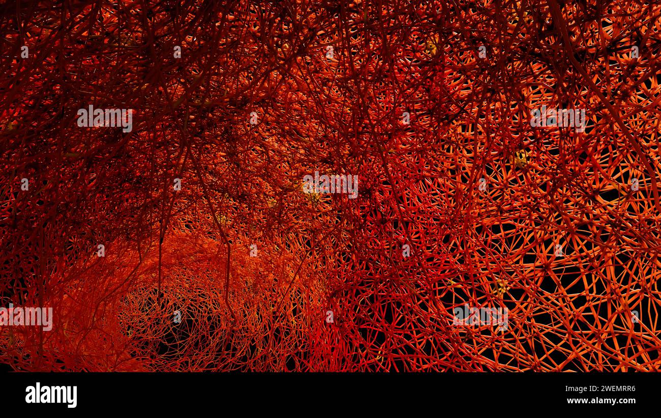 Human arterial and venous circulatory system, Medically accurate ...