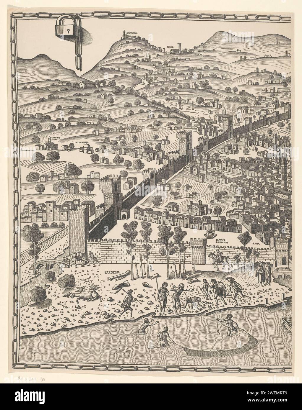 Pianta della catena hi-res stock photography and images - Alamy